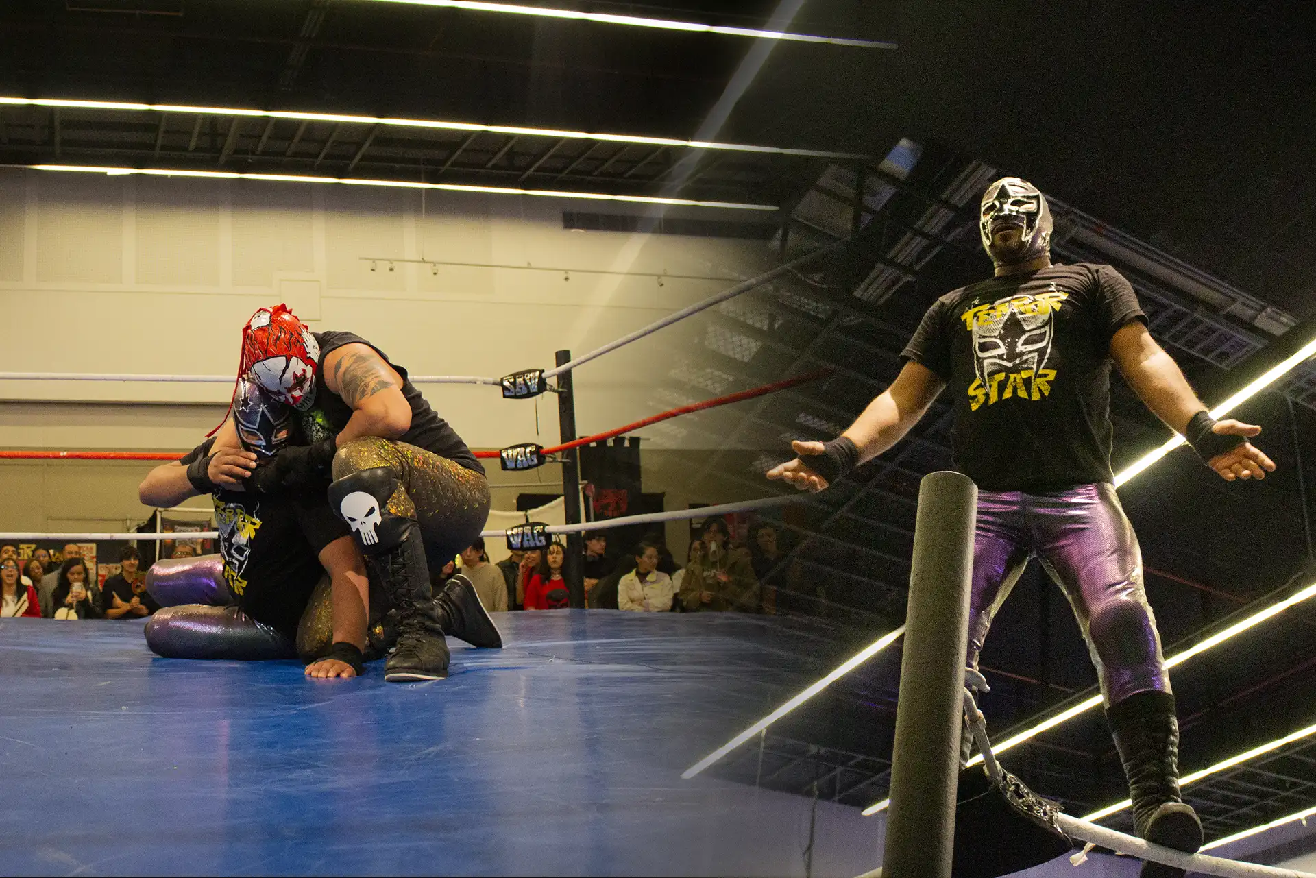 Lucha libre y diseño: así nació el proyecto en la Tadeo